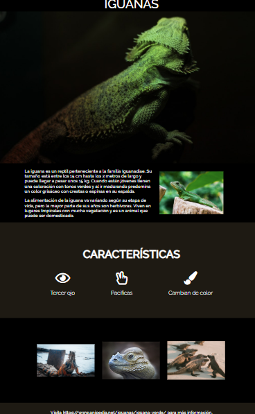 Portafolio - Daniela Zamora